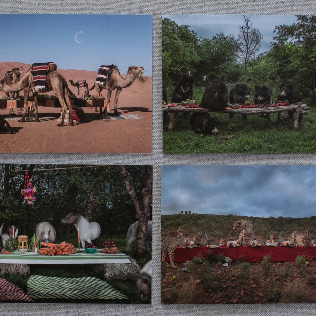 Fantastical Feasts Card Set, by Artist Claire Rosen – Skippy Cotton