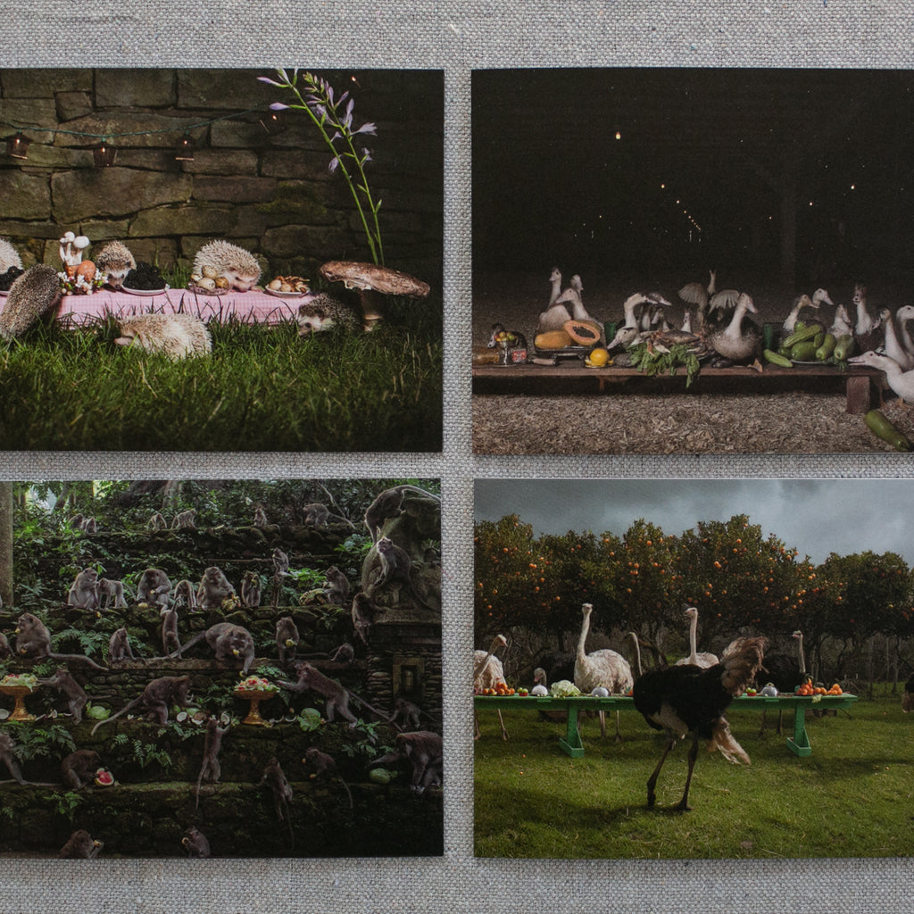 Fantastical Feasts Card Set, by Artist Claire Rosen – Skippy Cotton