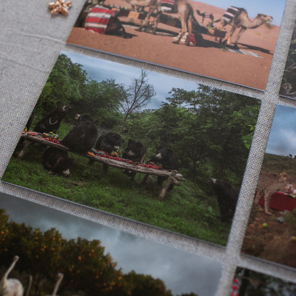 Fantastical Feasts Card Set, by Artist Claire Rosen – Skippy Cotton