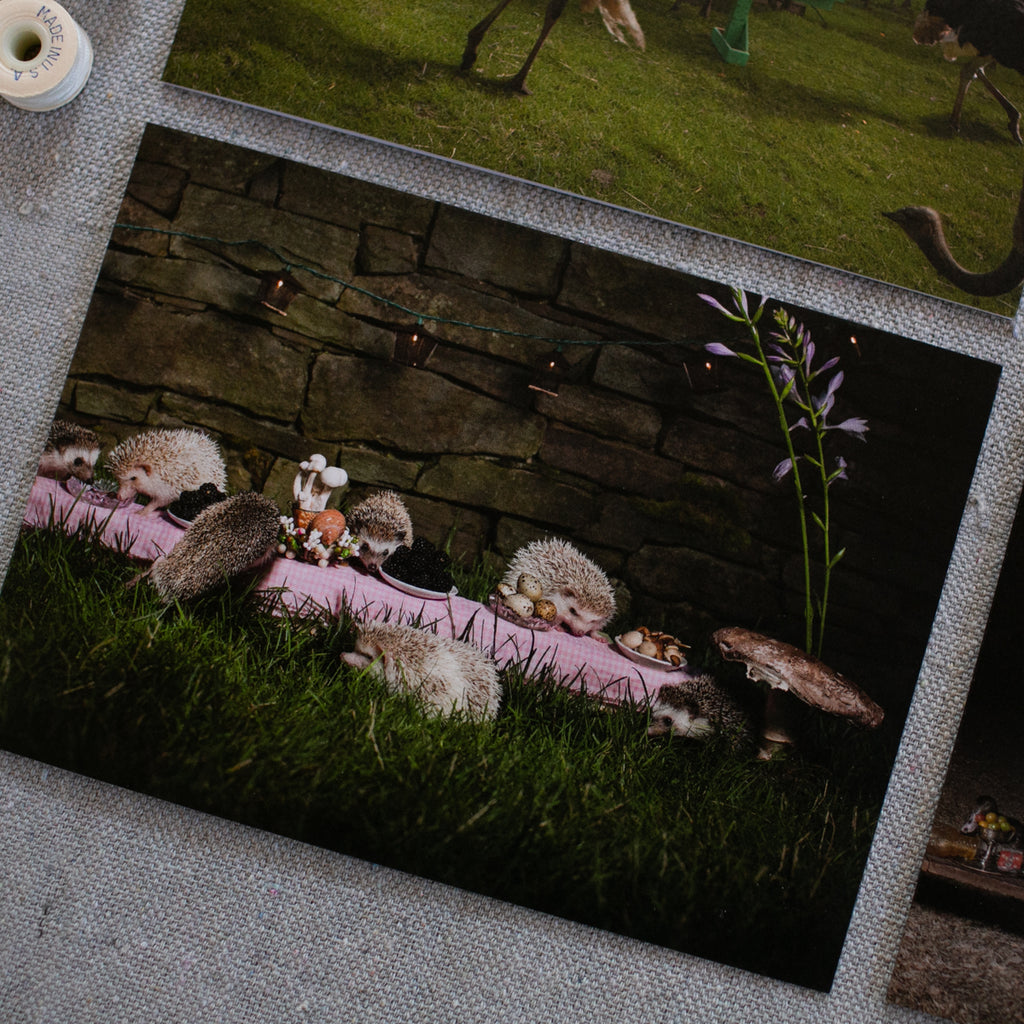 Fantastical Feasts Card Set, by Artist Claire Rosen – Skippy Cotton