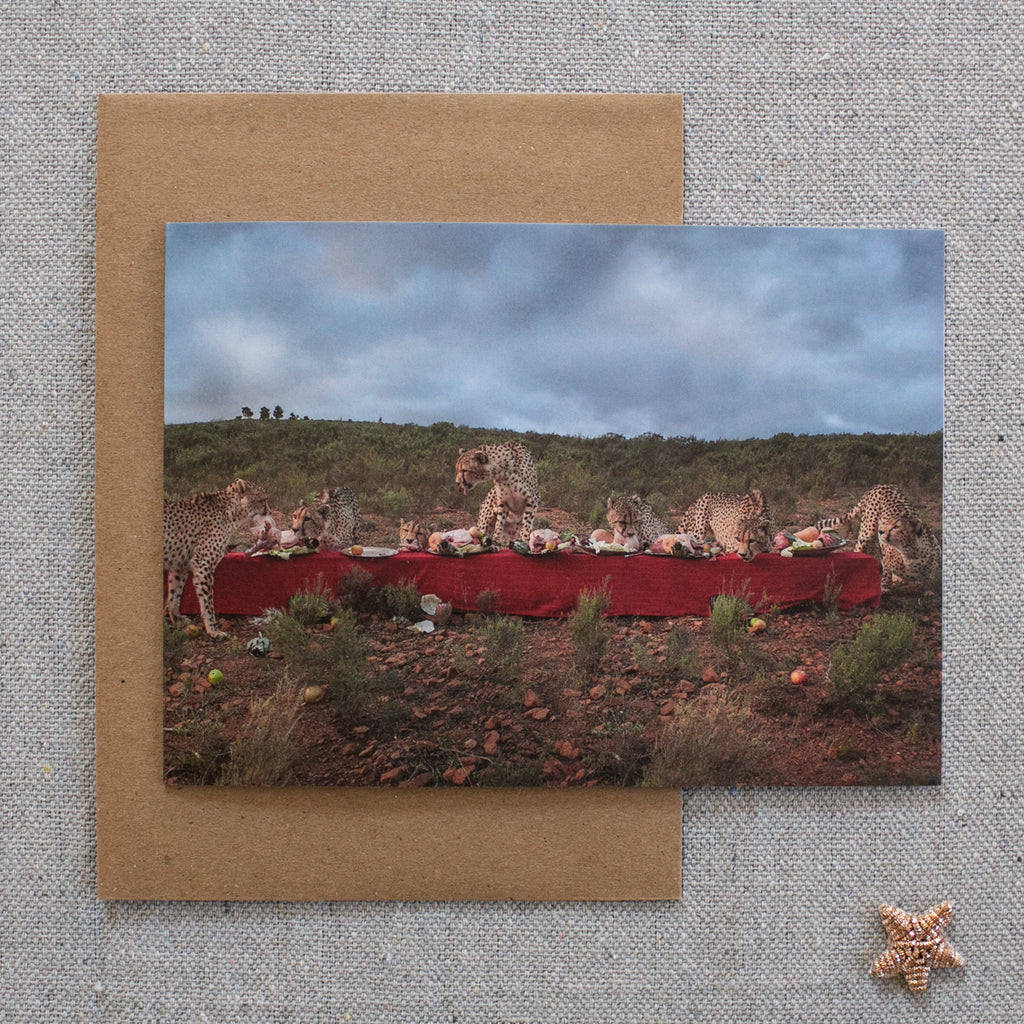 Fantastical Feasts Card Set, by Artist Claire Rosen – Skippy Cotton