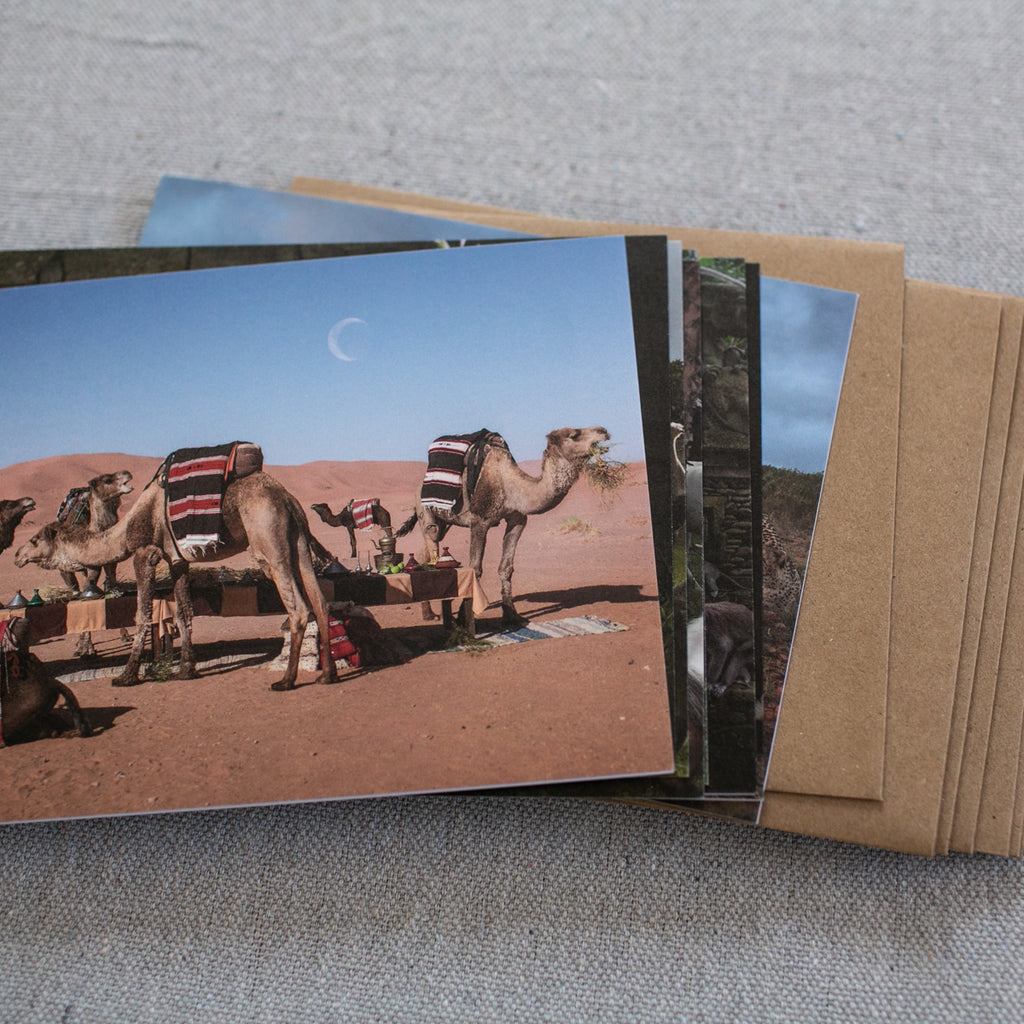 Fantastical Feasts Card Set, by Artist Claire Rosen – Skippy Cotton